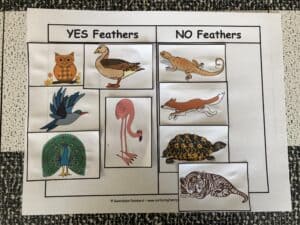 10 Preschool Activities for Learning About T, F and Turkeys - Nurturing ...